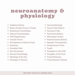 Neuroanatomy & Physiology Notes High-yield Neuro Study Guide Nervous ...