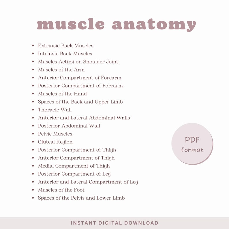 Muscle Anatomy Master Sheet | Complete MSK Summary Notes | Digital ...