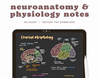 Neuroanatomy & Physiology Notes | High-yield Neuro Study Guide ...