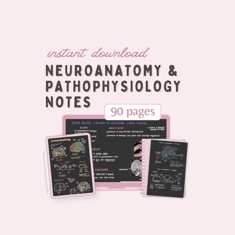 Neuroanatomy & Physiology High-yield Neuro Study Guide Nervous System ...