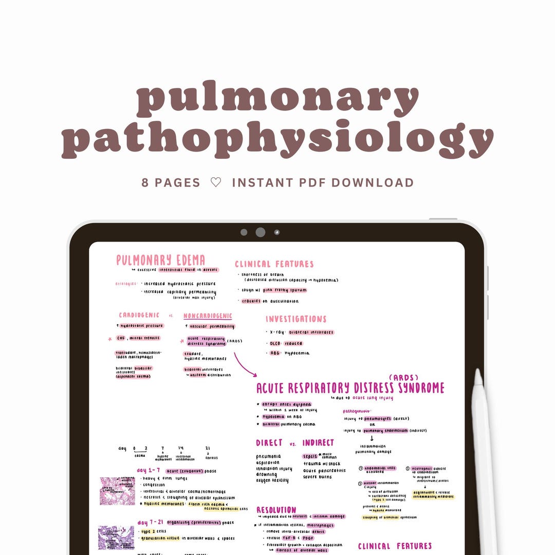 Pulmonary Pathophysiology & Disorders | Respiratory System Notes | High ...