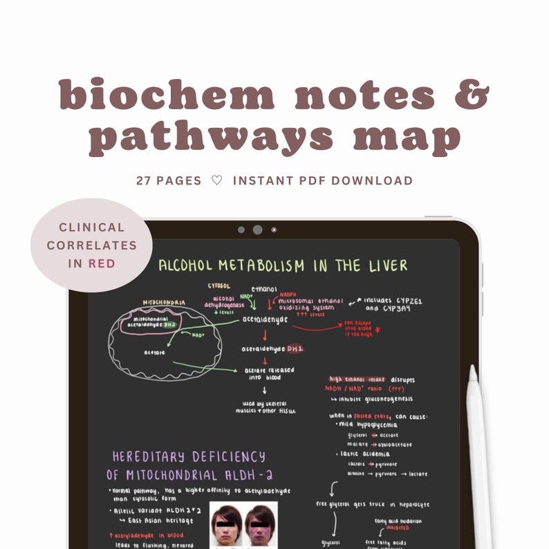 Biochemistry Notes & Pathways Map: High Yield Study Guide (PDF Download ...