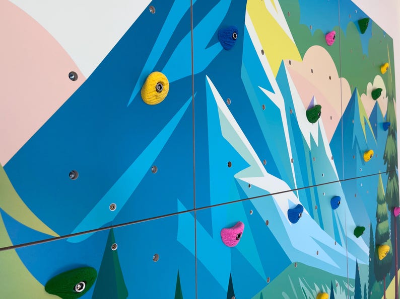 Kids Indoor Climbing Wall Kit: Playroom Rock Wall, Colorful Holds - Etsy