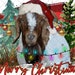 Merry Christmas Boer Goat Sublimation Transfer, Goat Transfer, Farm ...