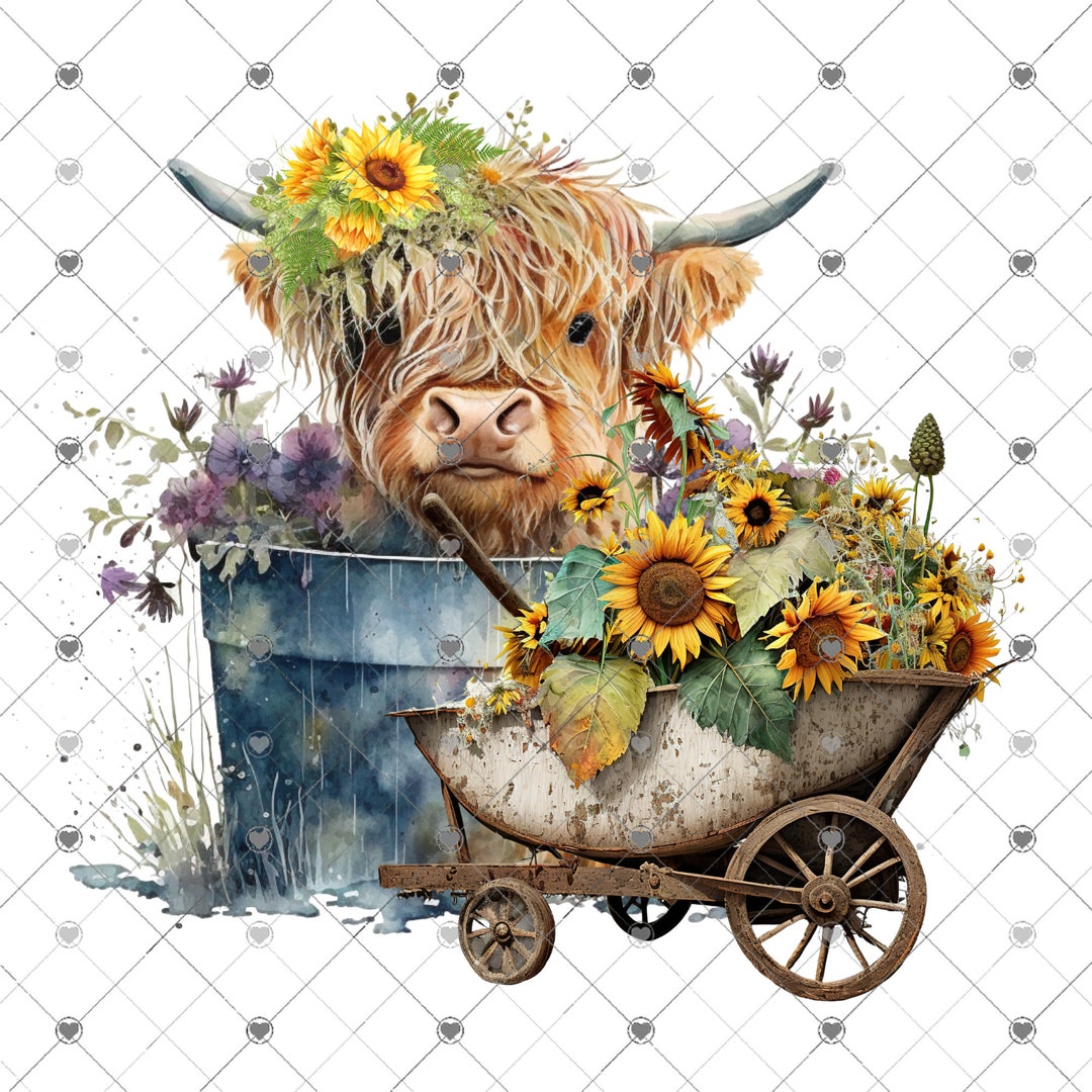 Highland Cow Sublimation Transfer, Cows, Farm, Heifer, Highland Cow in ...