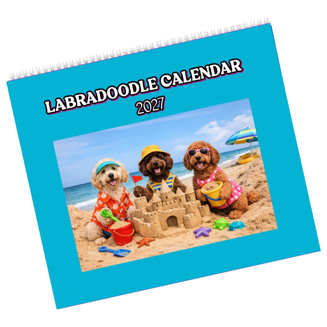 Labradoodle Dog Calendar 2027 Featuring 12 Different Labradoodle Dogs ...