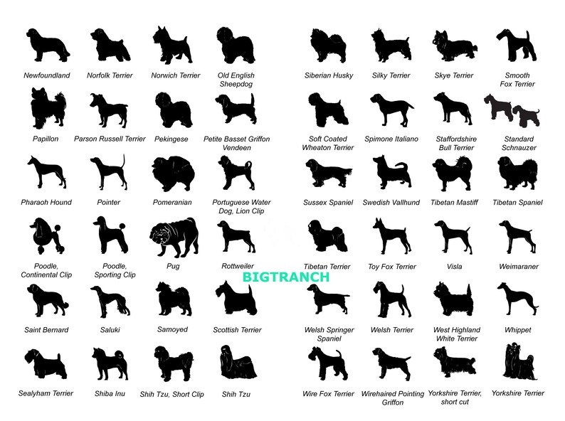 Dog Breed Personalized Coasters 100% Custom You Choose | Etsy