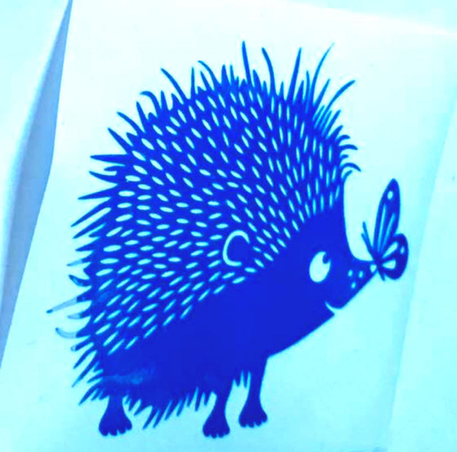 Hedgehog Holographic Vinyl Decal Sticker Water Bottle - Etsy