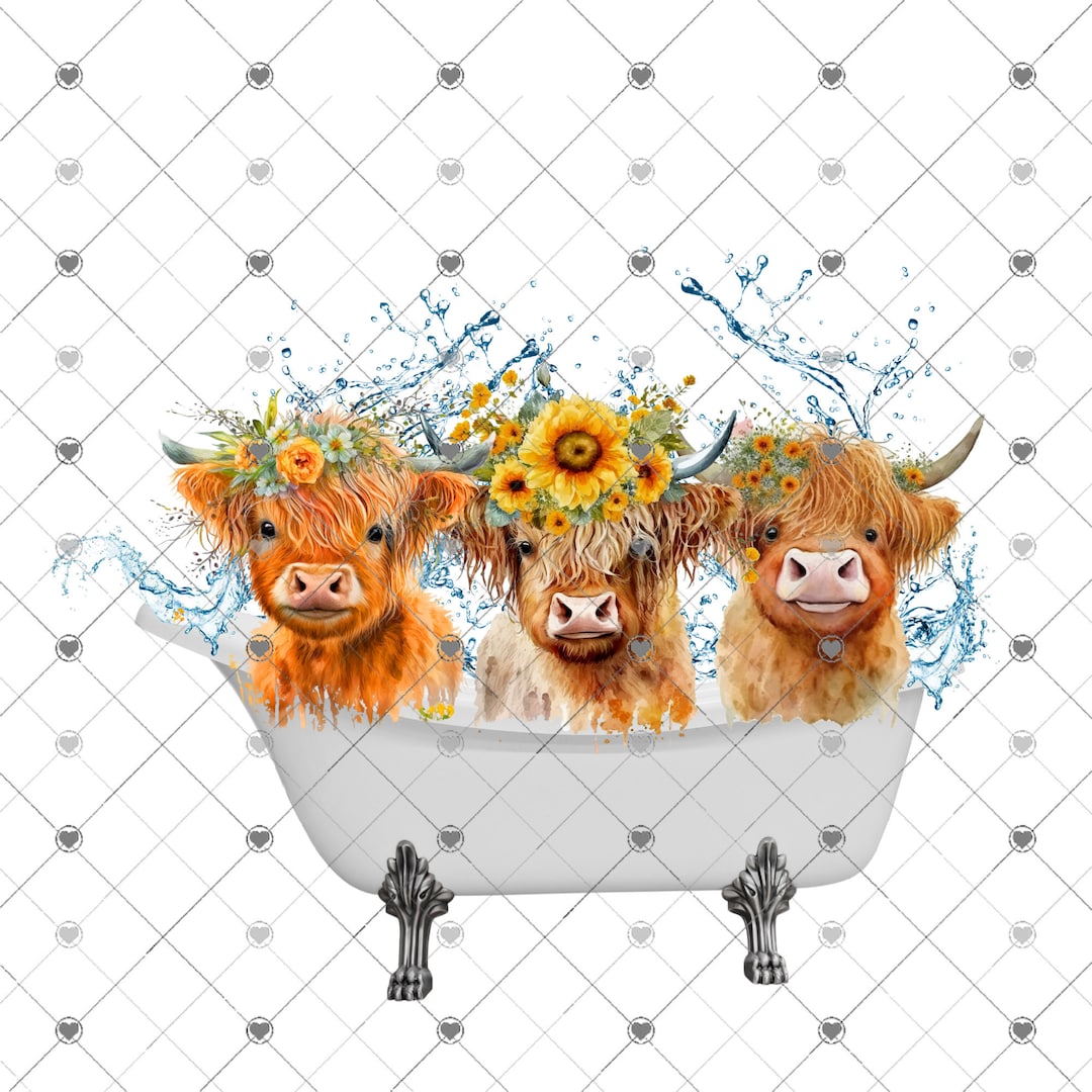 Highland Cows Sublimation Transfer, Cow, Farm, Heifer, Highland Cow in ...