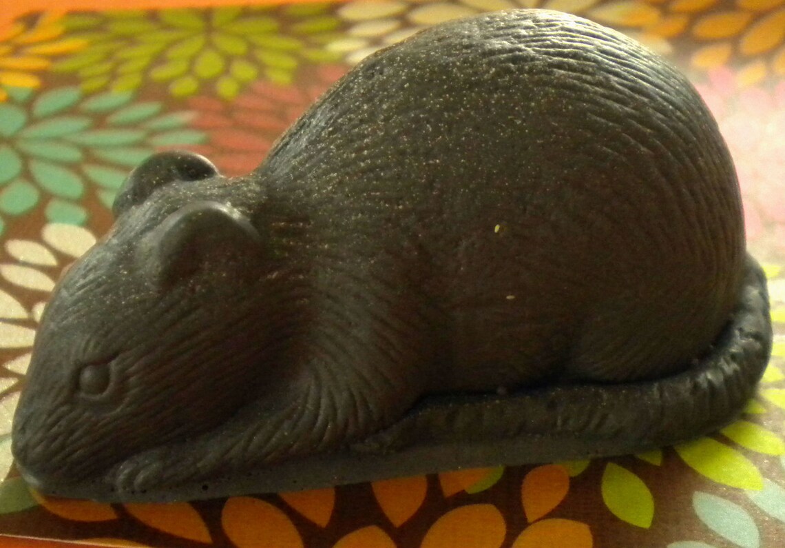 Rat Soap Soap for Boy Gag Gift Prank Soap Fall Soap | Etsy