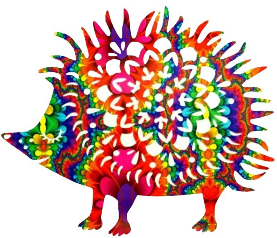 Hedgehog Vinyl Decal Sticker - Water Bottle Sticker - Laptop Decal ...