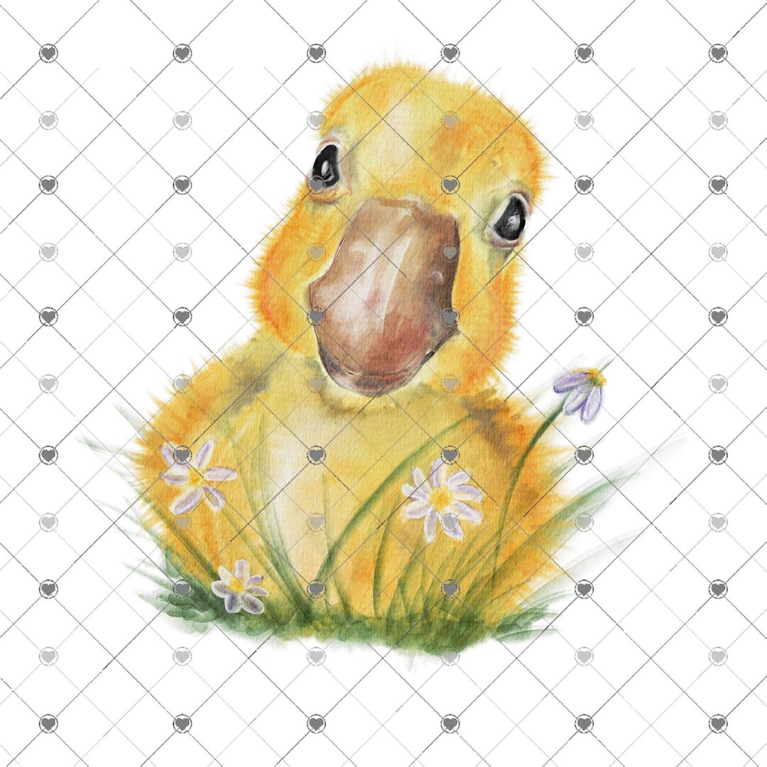 Duck Sublimation Transfer, Spring Sublimation Transfer, Sublimation ...