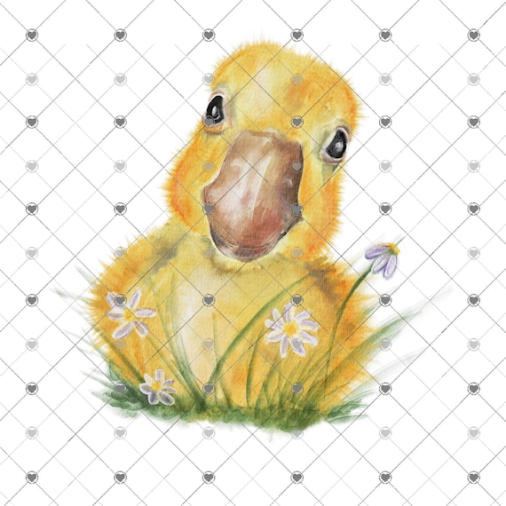 Duck Sublimation Transfer Spring Sublimation Transfer | Etsy