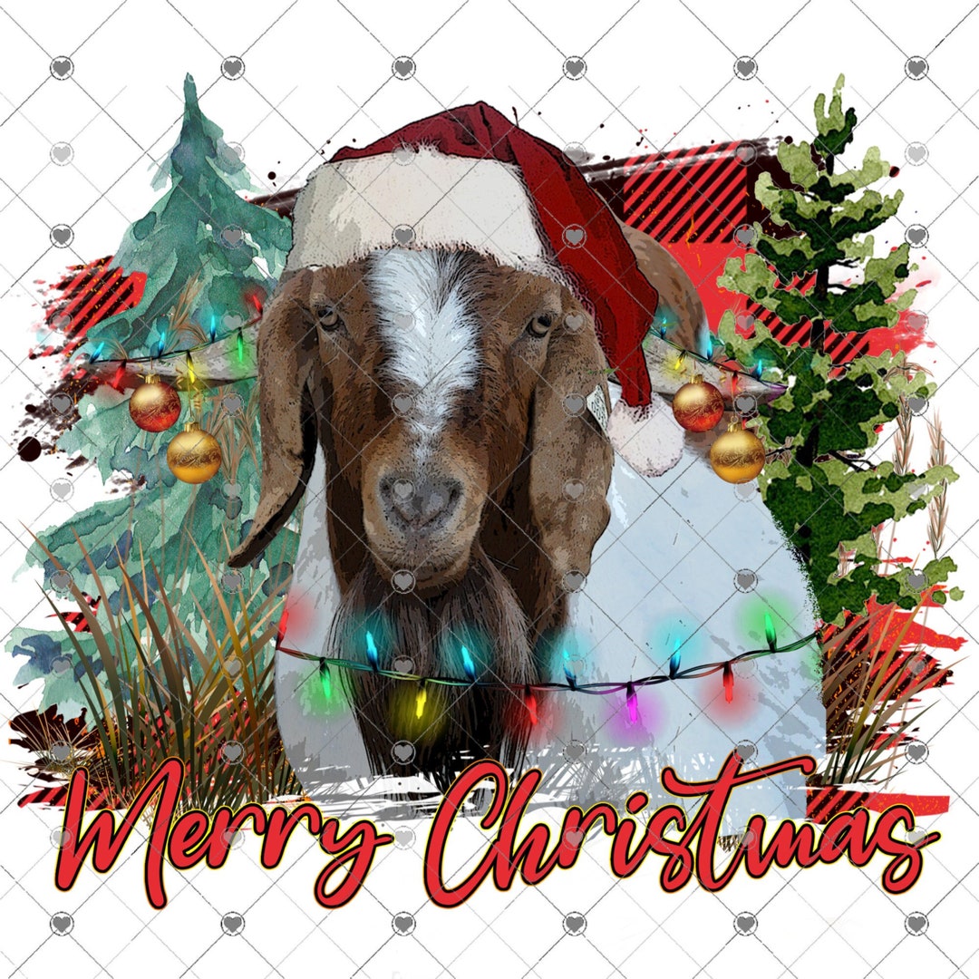 Merry Christmas Boer Goat Sublimation Transfer, Goat Transfer, Farm ...