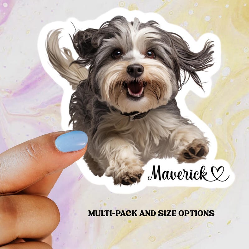 Havanese Stickers - Etsy