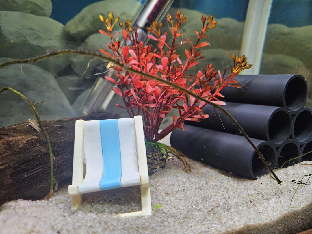 Aquarium Tunnels X5 Tube Cave | Create a Safe Zone for Your Fish ...