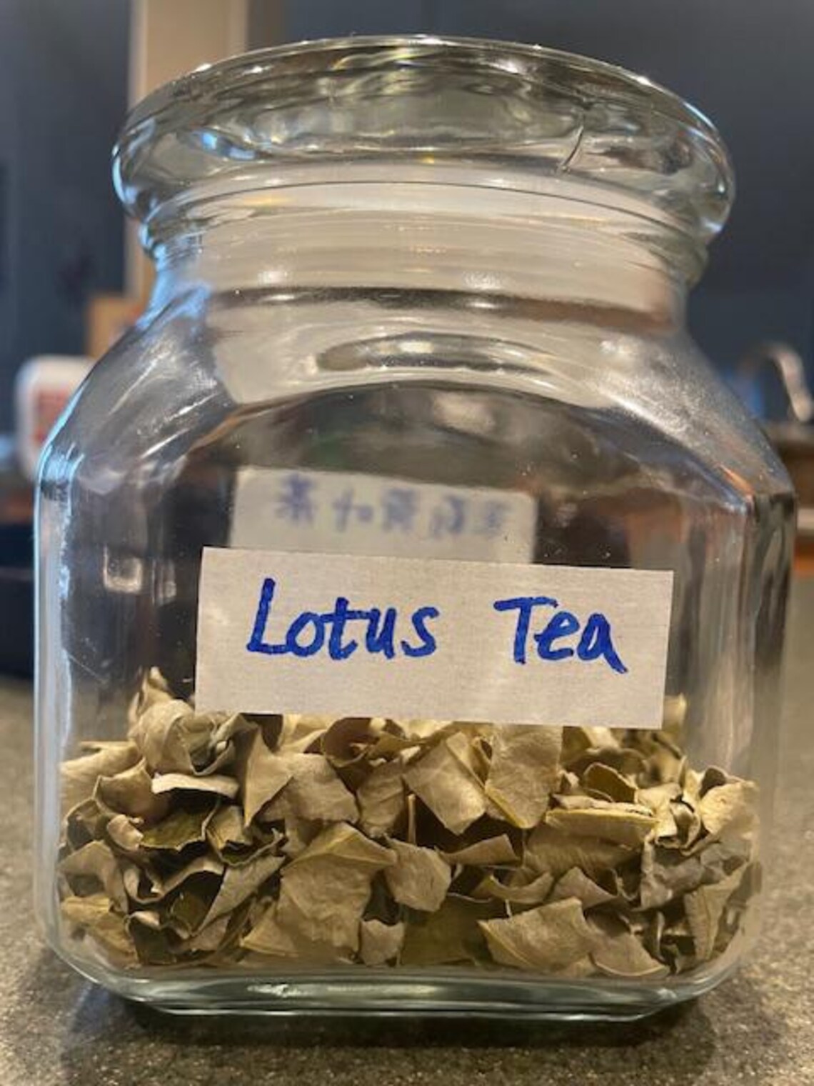 Nelumbo Nucifera （荷花） Beautiful Pink LOTUS - Lotus Root (rhizome) 荷花根 ...