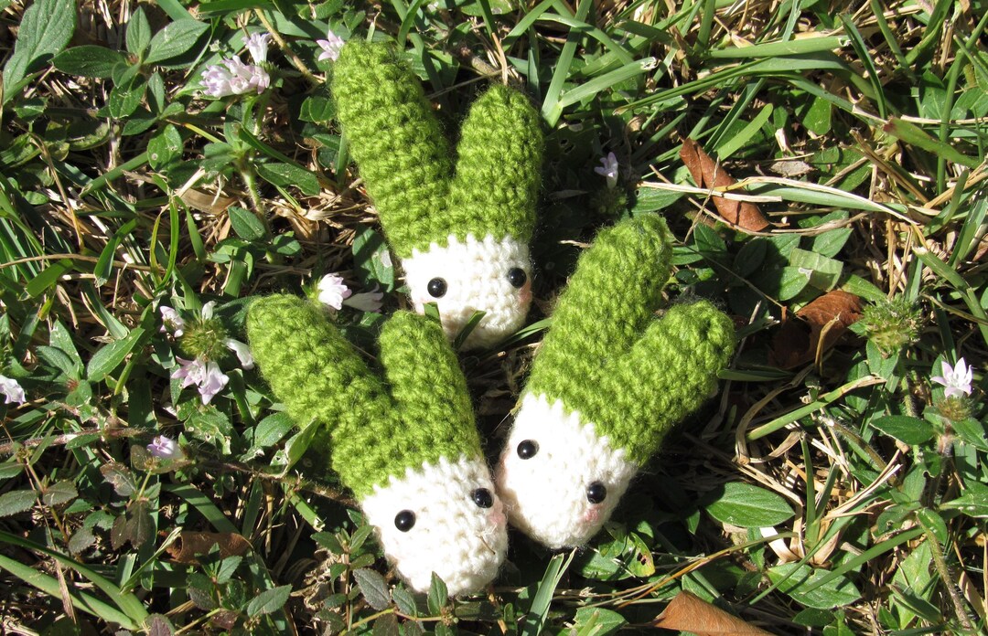 Crochet Amigurumi Leek Crochet Mini Leek Small Crochet Plush Crochet ...
