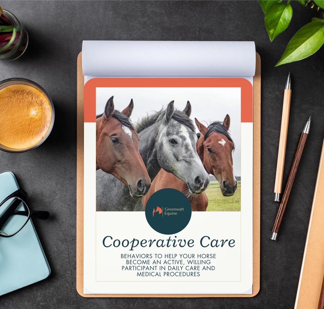 80 Cooperative Care Behaviors for Horses - Positive Reinforcement ...