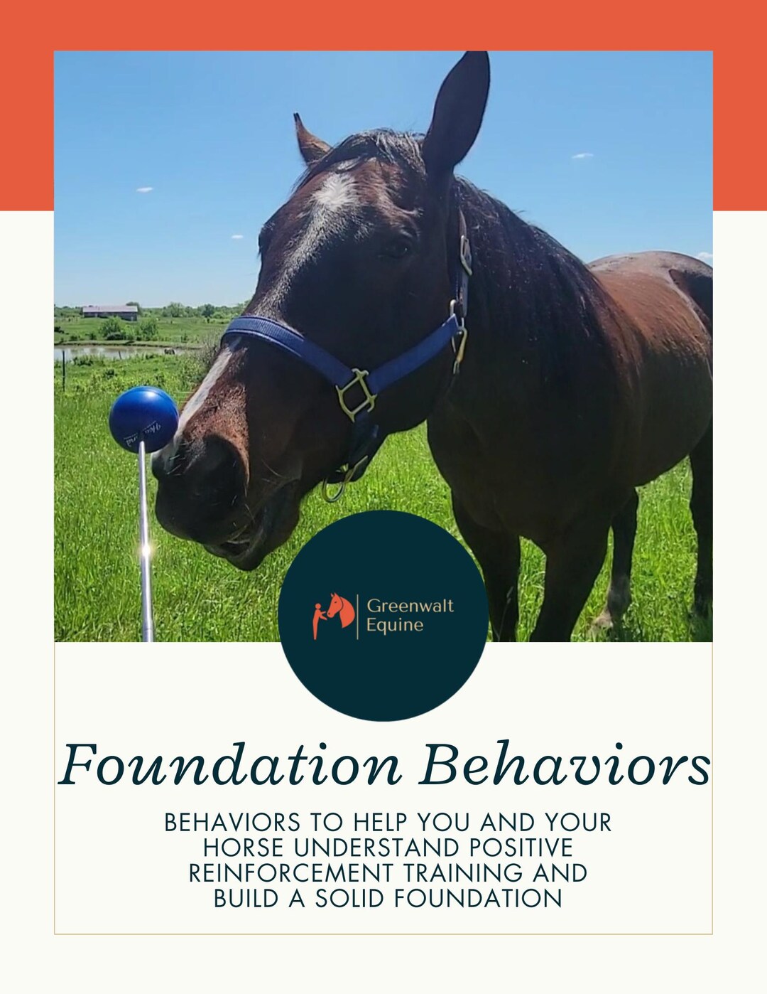 100 Foundation Behaviors for Positive Reinforcement Horse Training ...