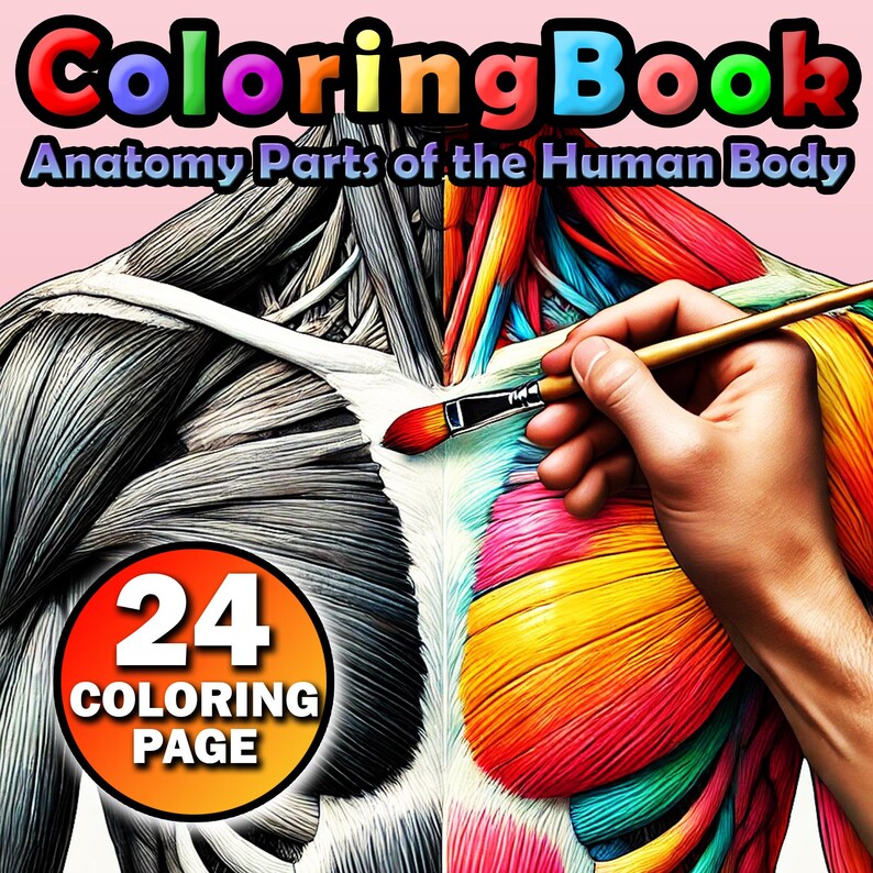 Coloring Book: 24 Anatomy Parts of the Human Body - Etsy