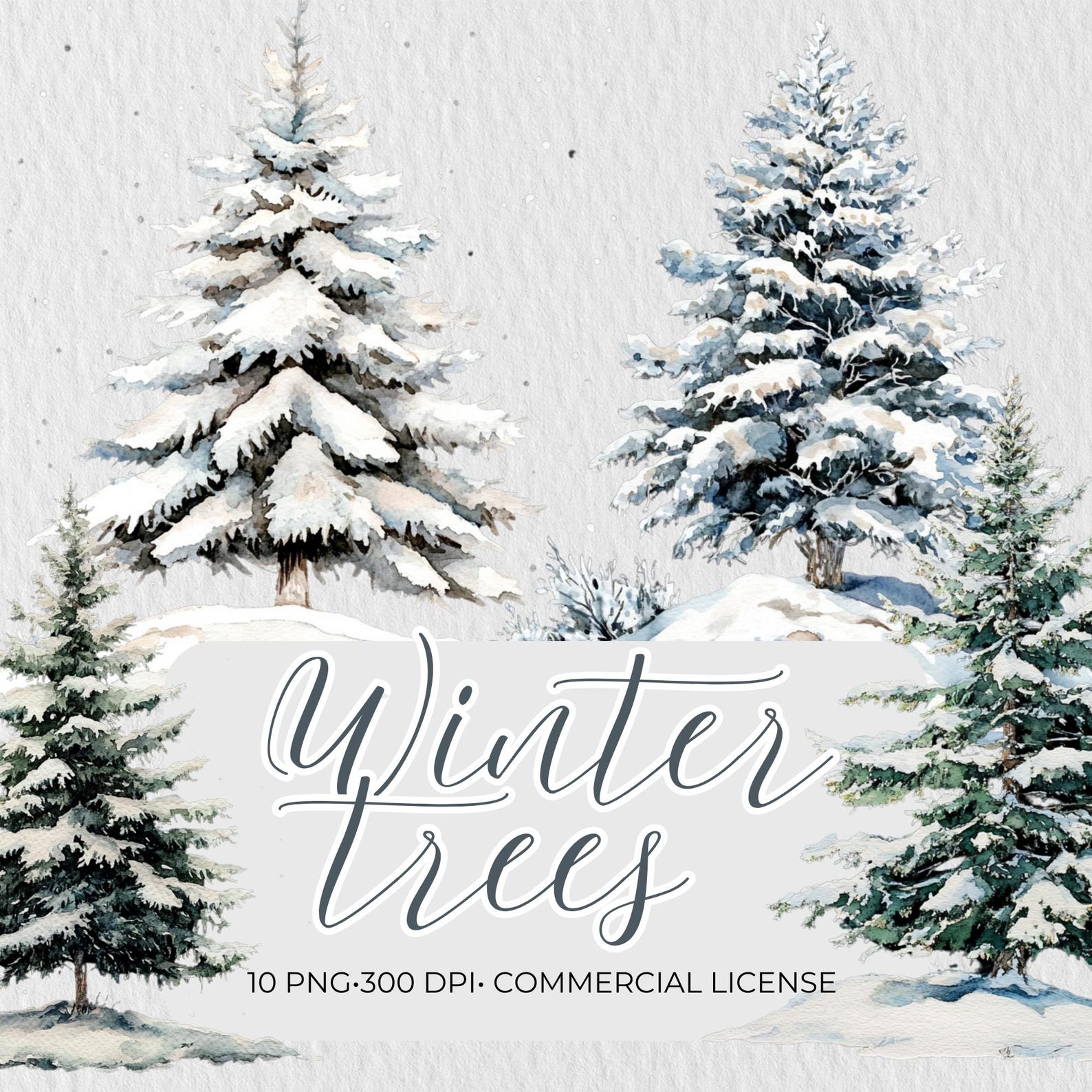 Watercolor Winter Trees Clipart: Hand-painted Pine PNG (digital ...