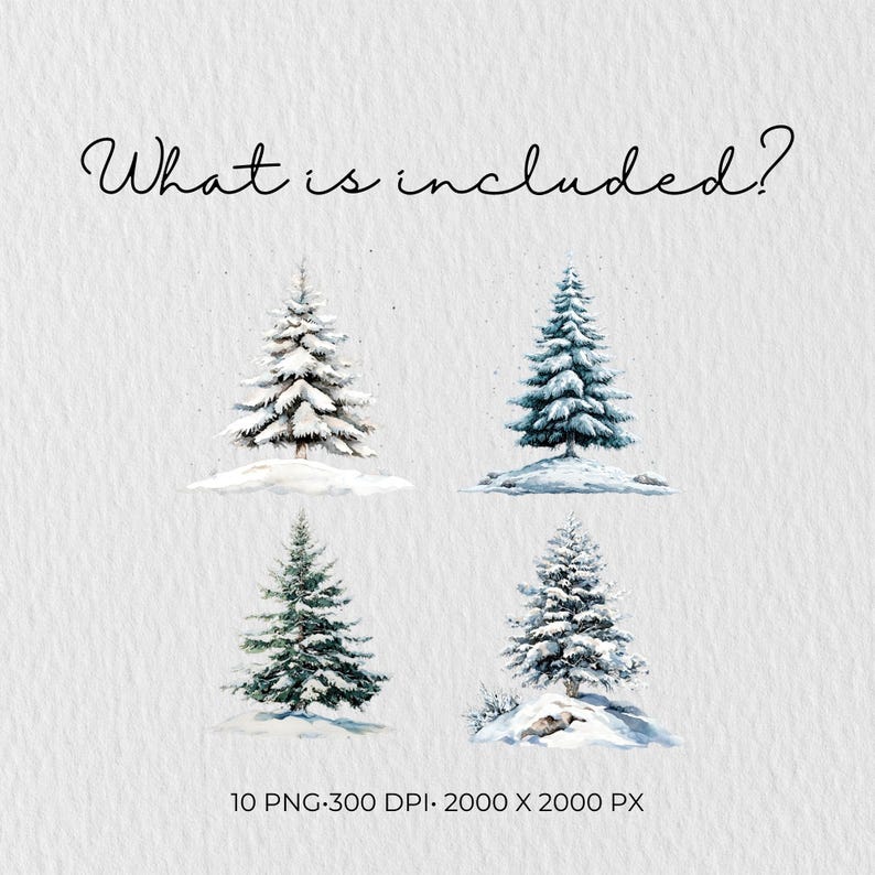 Watercolor Winter Trees Clipart: Hand-painted Pine PNG (digital ...