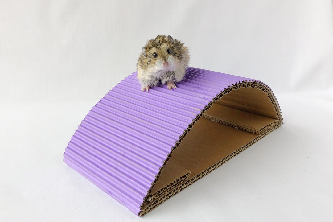 Hamster Bridge - Etsy