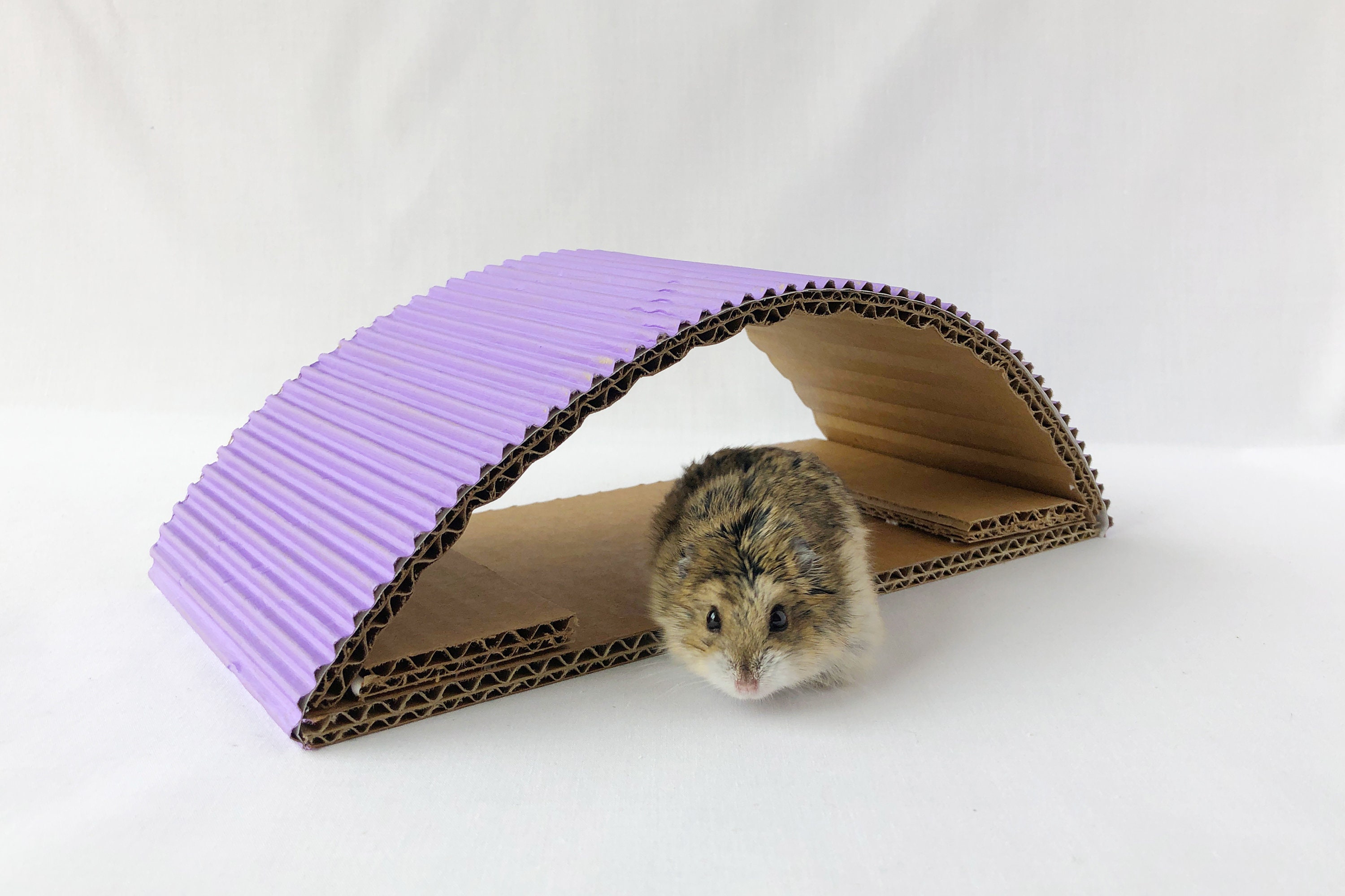 Hamster bridge | Etsy