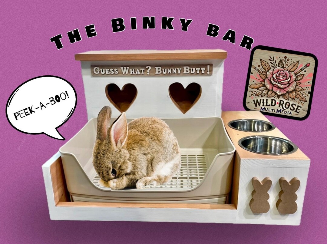 The Binky Bar - Etsy