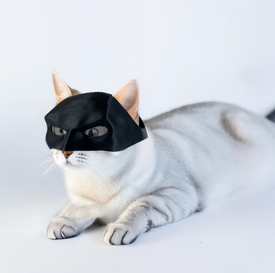 Halloween Mask for Cat / Bat Mask / Helmet for Pets / Costumes for Cats ...