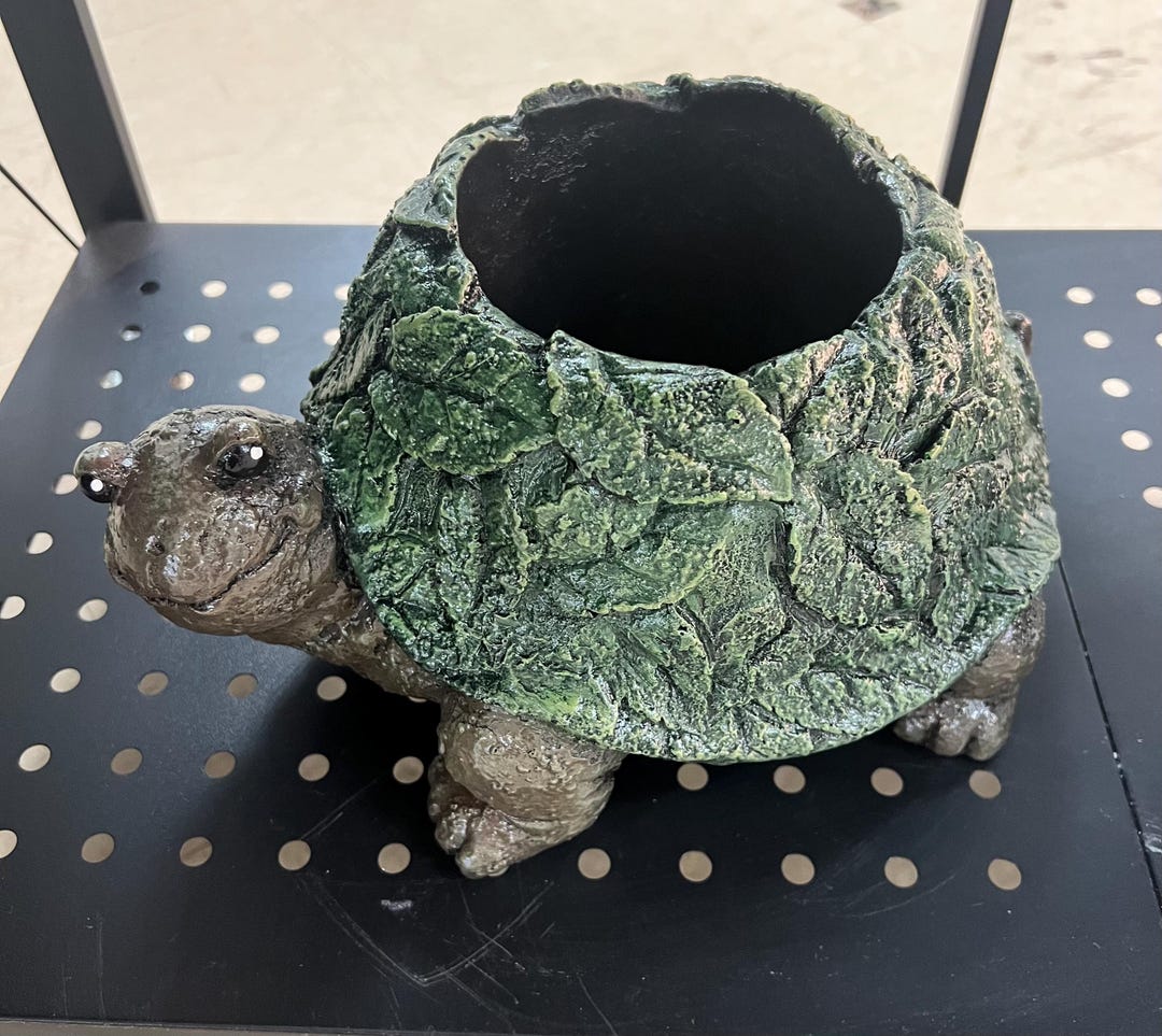 Hand-painted Turtle Leaf Planter - Nature-inspired Concrete Pot - Etsy