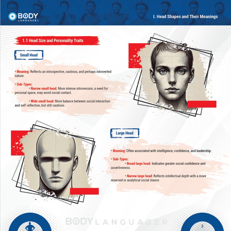 Decoding Head Shapes and Movements Digital Flip Book - Etsy