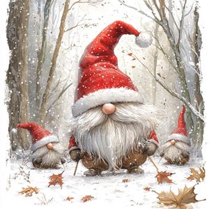24 Christmas Gnome Clipart Winter Gnome PNG Holiday Season Art ...