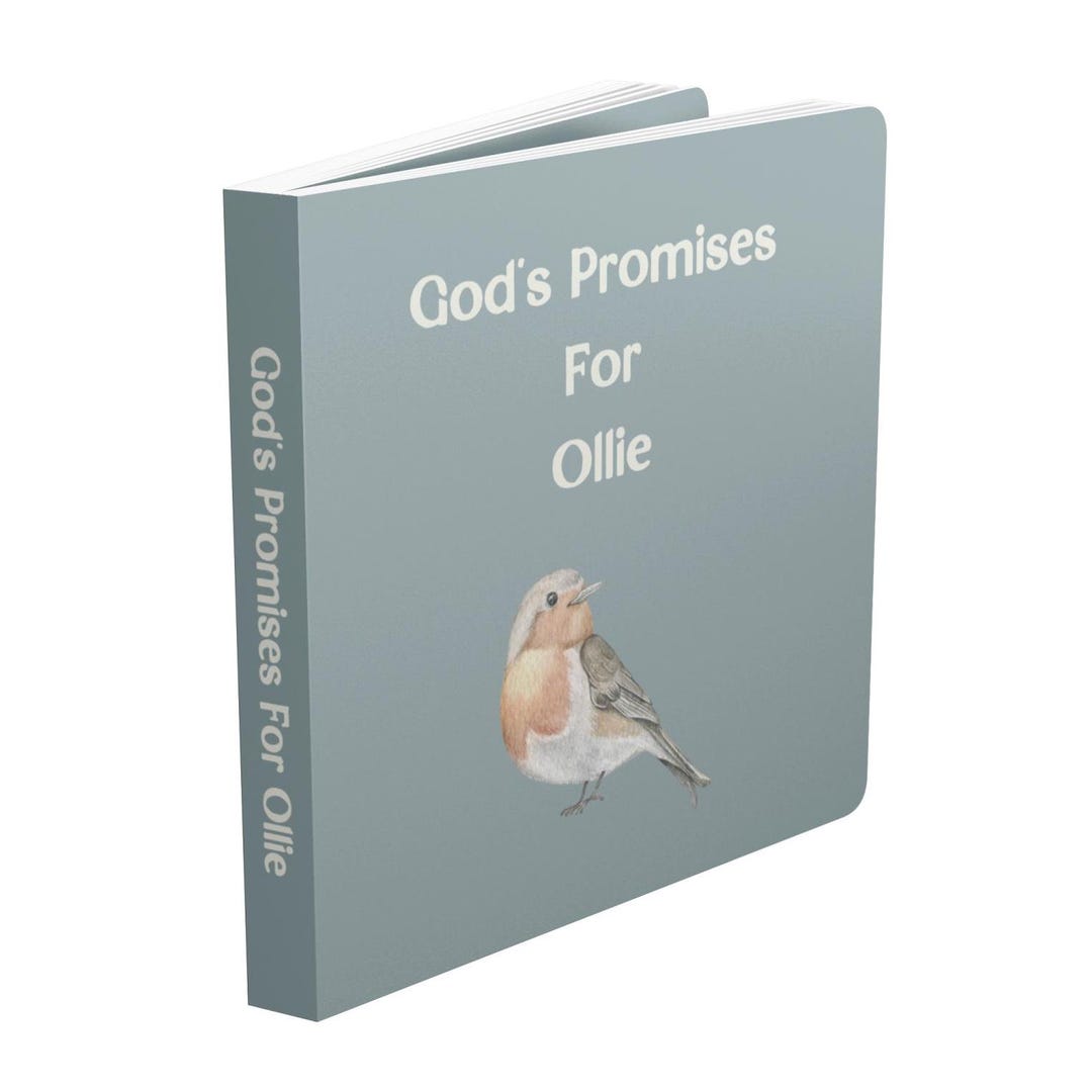 Personalized Gods Promises Board Book Baby Dedication Gift Christian ...