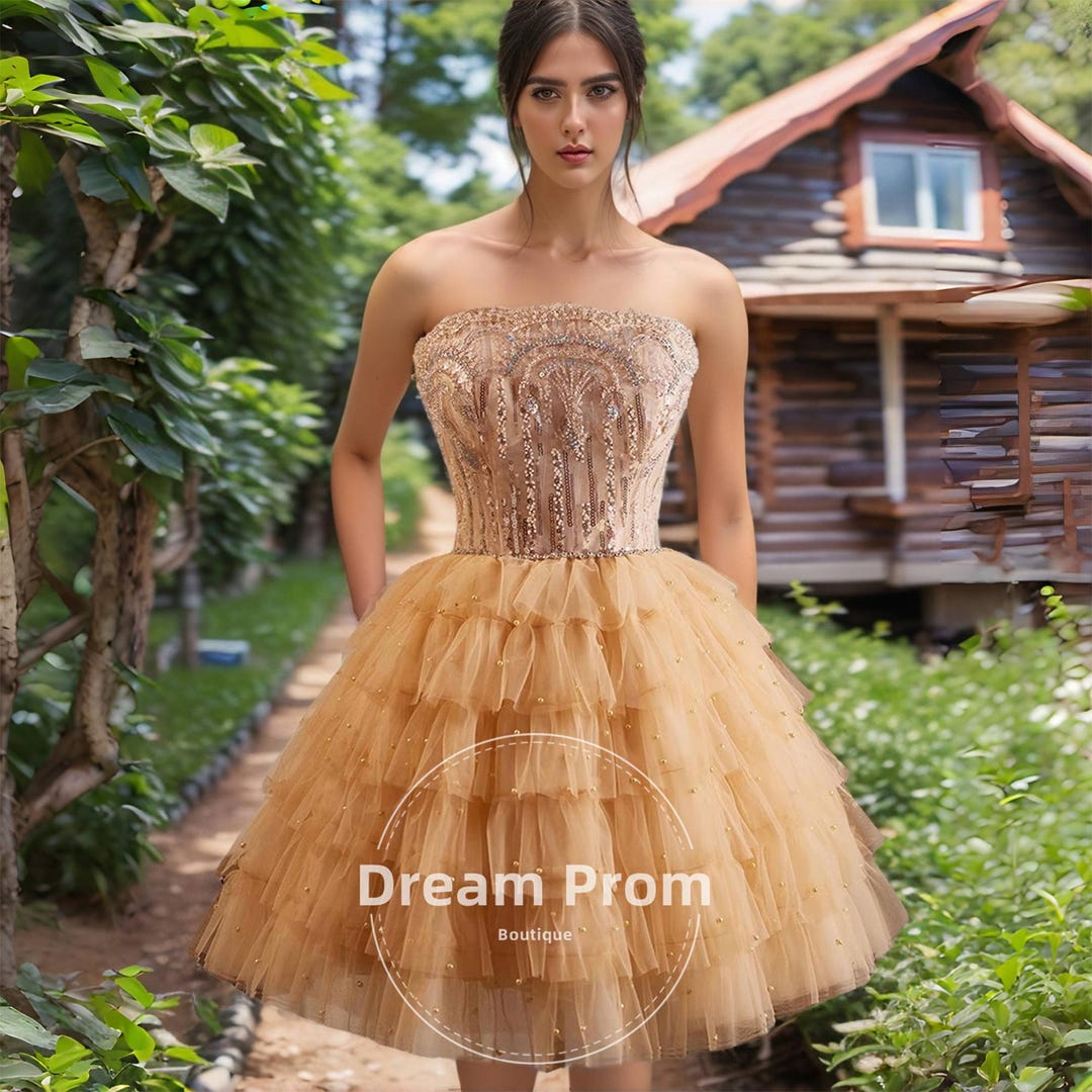 Mini Prom Dress,off Shoulder Senior Party Dress,beading Homecoming ...