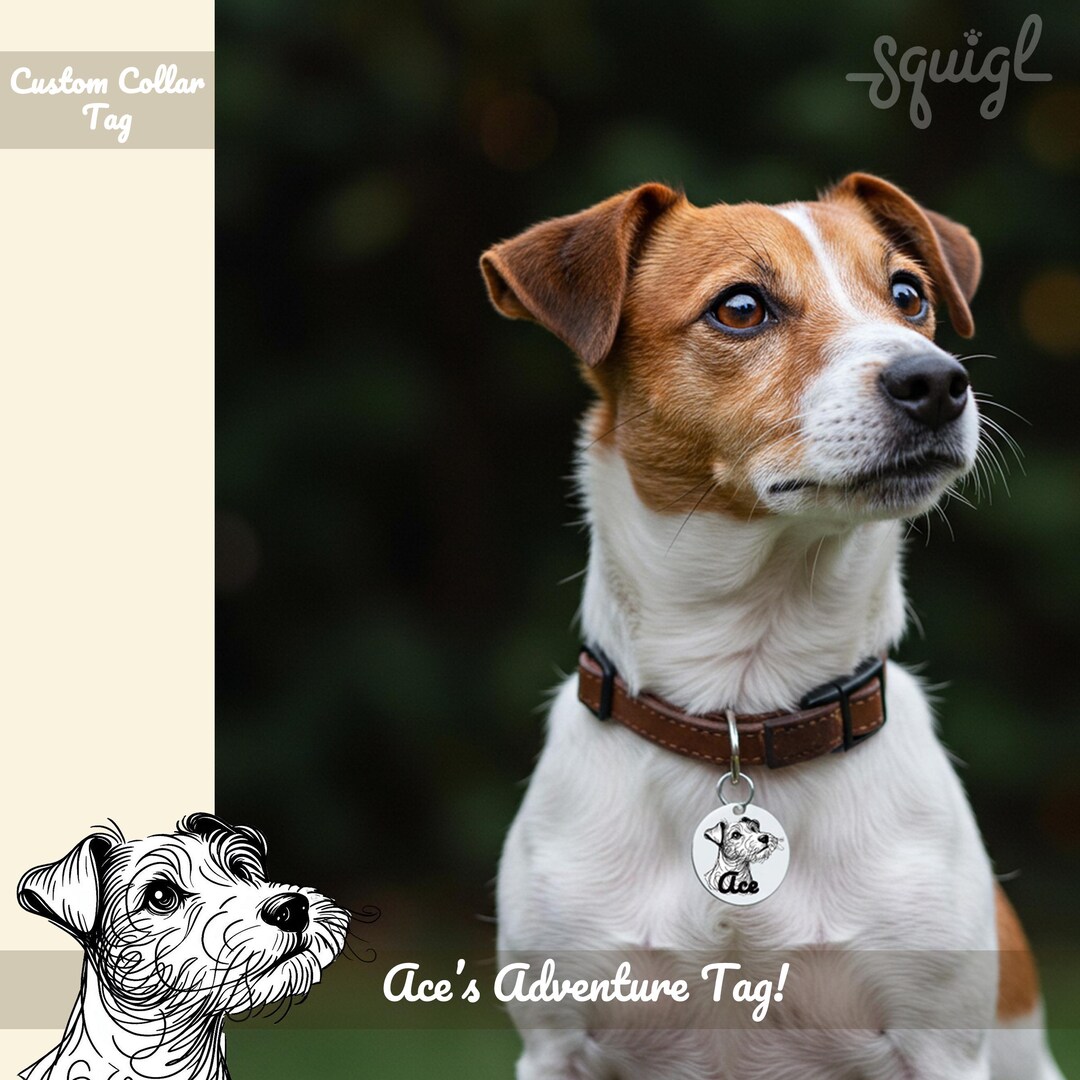Squigl Pet Finder Tag – Custom Pet Art & QR Code - Etsy