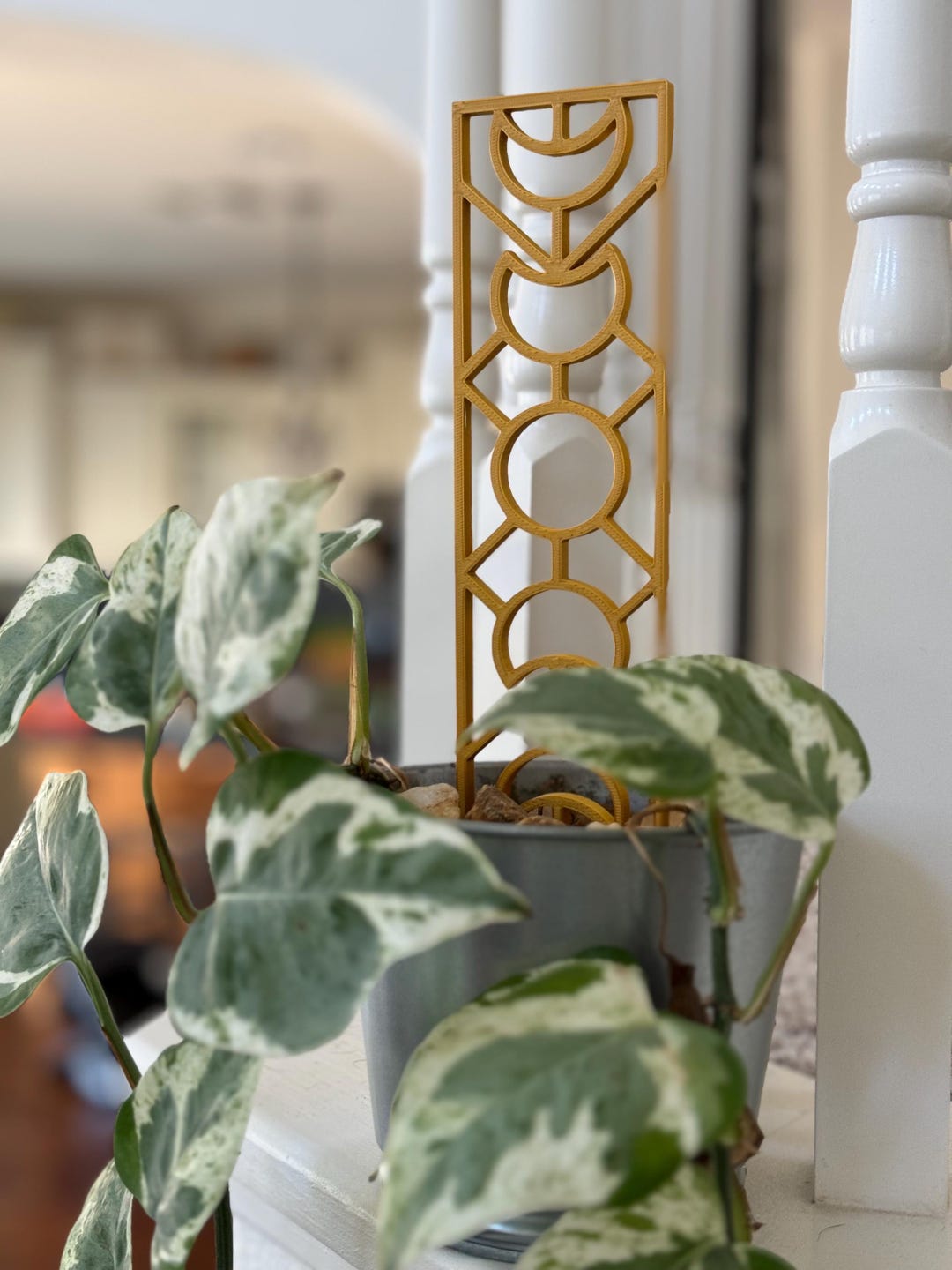 Moon Phase Indoor Plant Trellis - Etsy