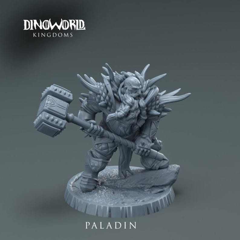 Dwarf Paladin 32mm/28mm (dinoworld) Dnd 5E Gift | RPG Set | Fantasy ...