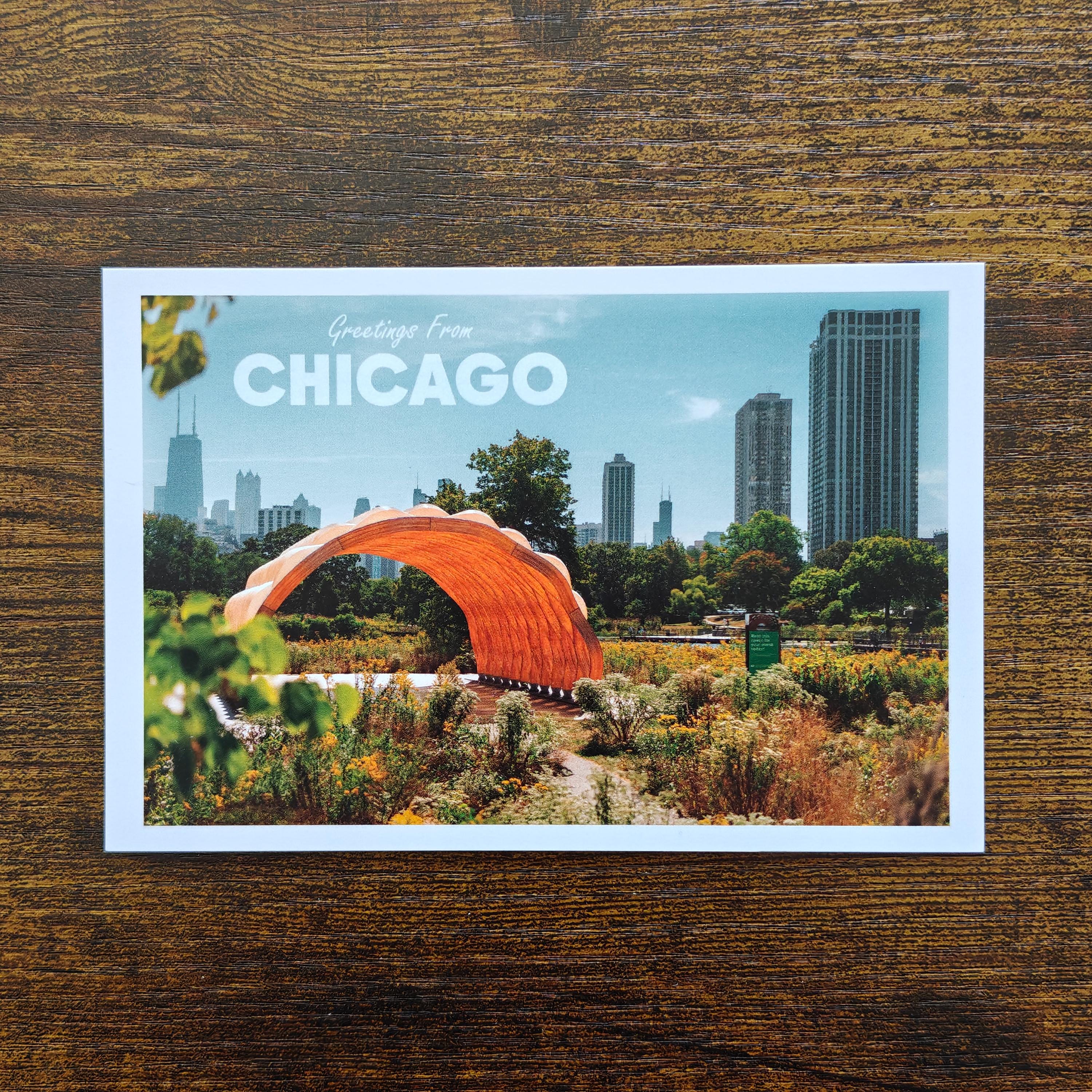 Chicago Postcard Set 4x6 Photos of Chicago Illinois Postcards Modern ...