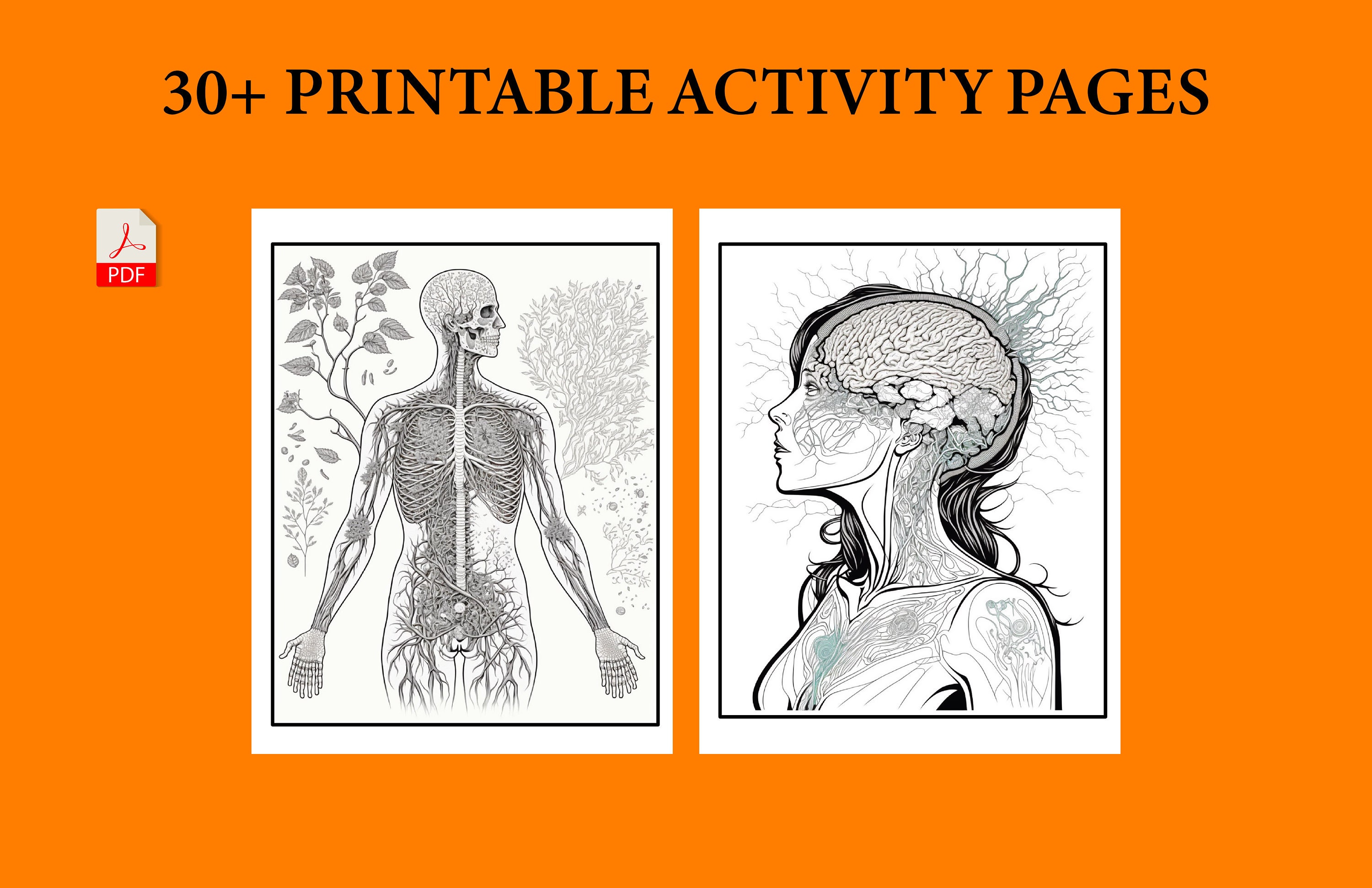 Human Anatomy Practice Sheet, Coloring and Activity Book Study Guide ...