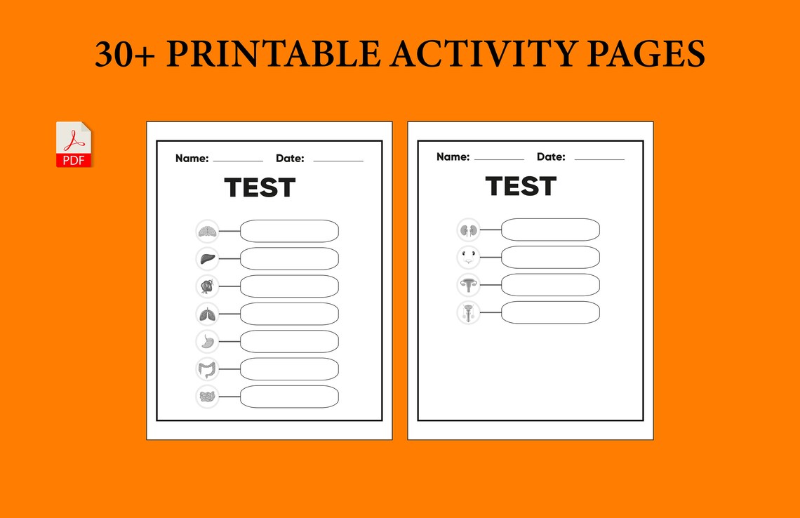 Human Anatomy Practice Sheet, Coloring and Activity Book Study Guide ...