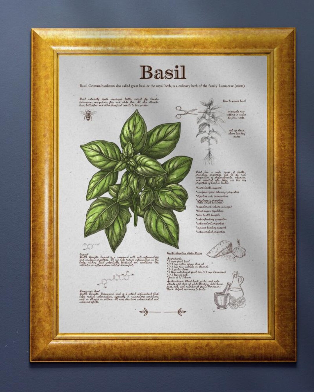 Basil Vintage Poster Kitchen Botanical Art Antique Print Culinary Herb ...