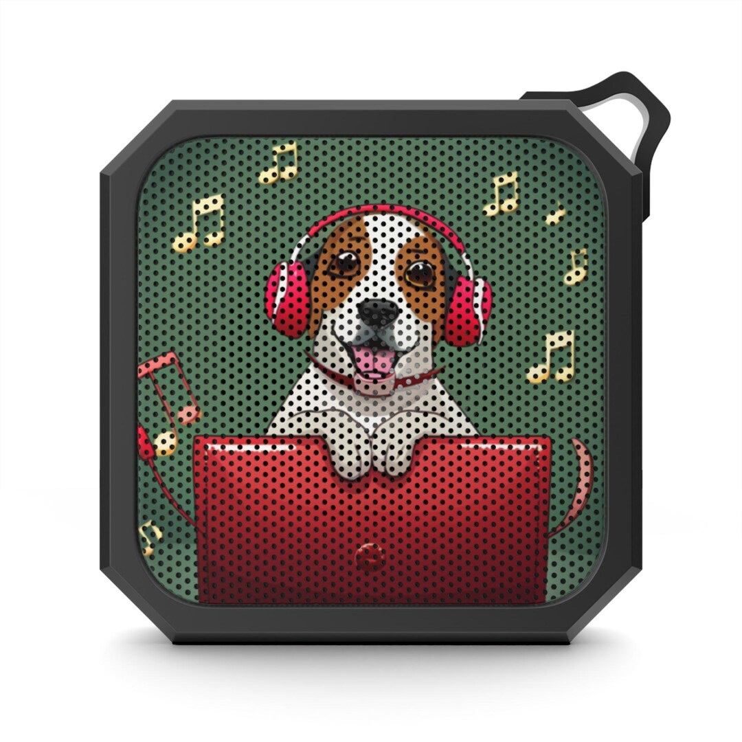 Portable Speaker, Compact Sound System for Outdoor Adventures - Hiking ...