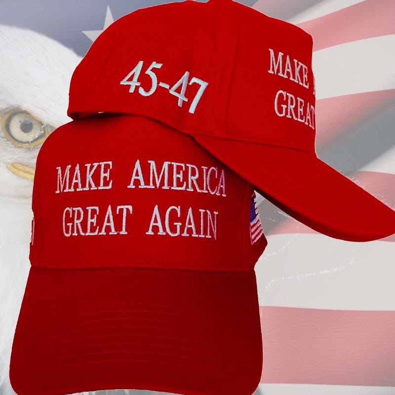 Make Great Again Hat - Etsy