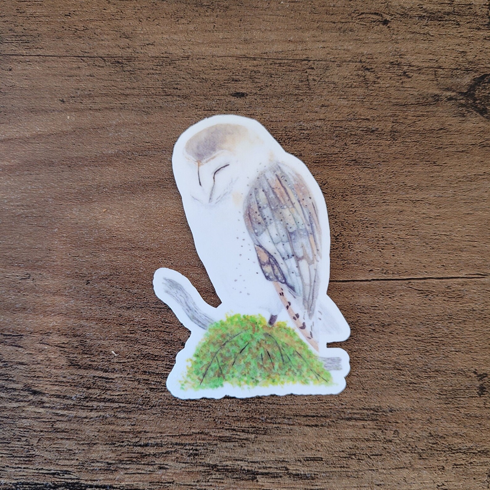 Barn Owl Sticker, Cute Owl Sticker, Watercolor Owl Sticker, Water ...