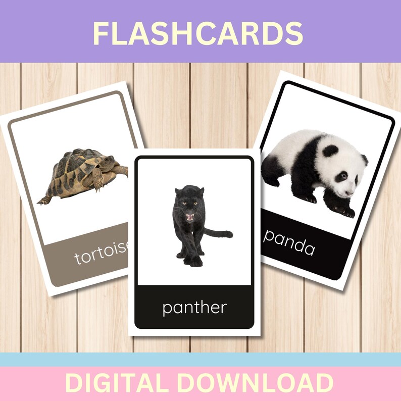 Animal Flashcards, 50 Printable Flashcards, Preschool Flashcards ...
