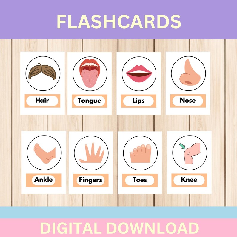 Body Parts Flash Cards Printable Montessori Materials Preschool ...