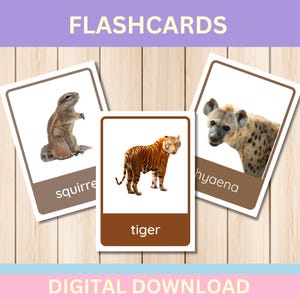 Animal Flashcards, 50 Printable Flashcards, Preschool Flashcards ...