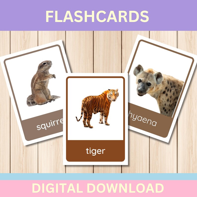 Animal Flashcards, 50 Printable Flashcards, Preschool Flashcards ...